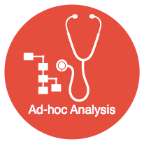 ANKHOR FlowSheet 2.0 Data Workbench